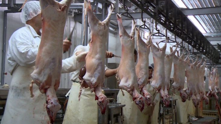 Групацијата за производство и преработки од месо бара итни измени на регулативата