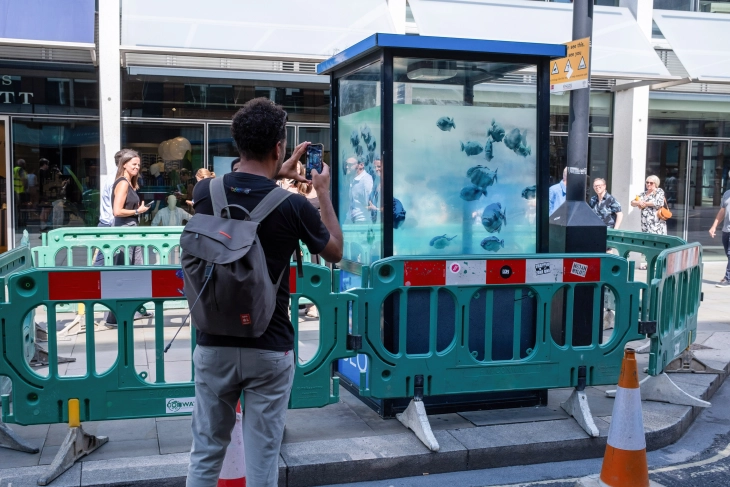 Banksy artwork showing piranhas in a police box moved to keep it safe